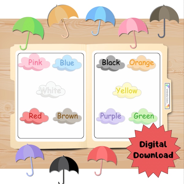 File Folder Game - Etsy