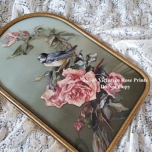 Vintage Bluebird Roses Print Antique Convex Glass Frame - Etsy