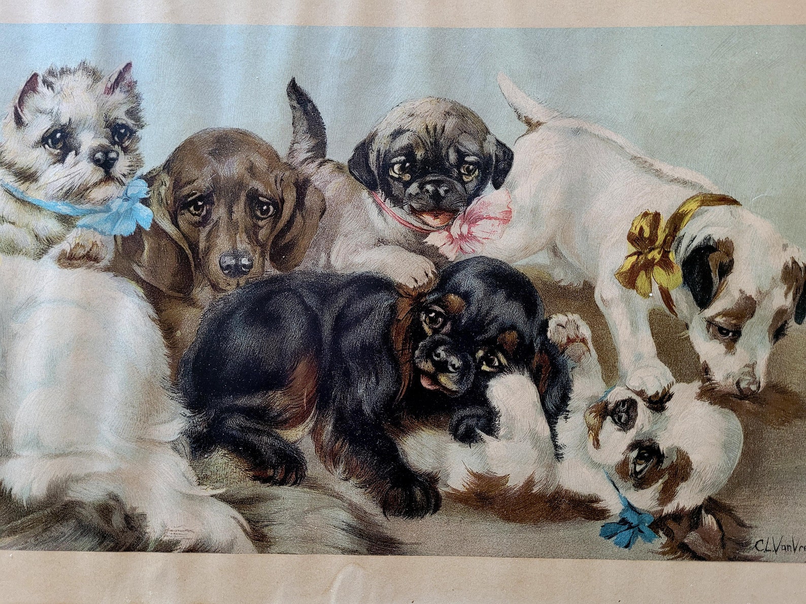 Antique Puppies Dog Yard Long Print the Gilded Age Dog | Etsy