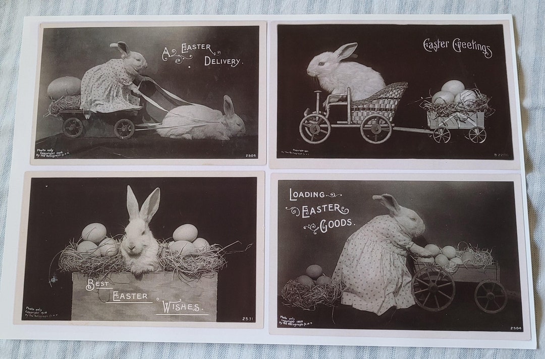 4 Rabbit Bunny Print S Easter E398 | Anthropomorphic Dressed Rabbits ...