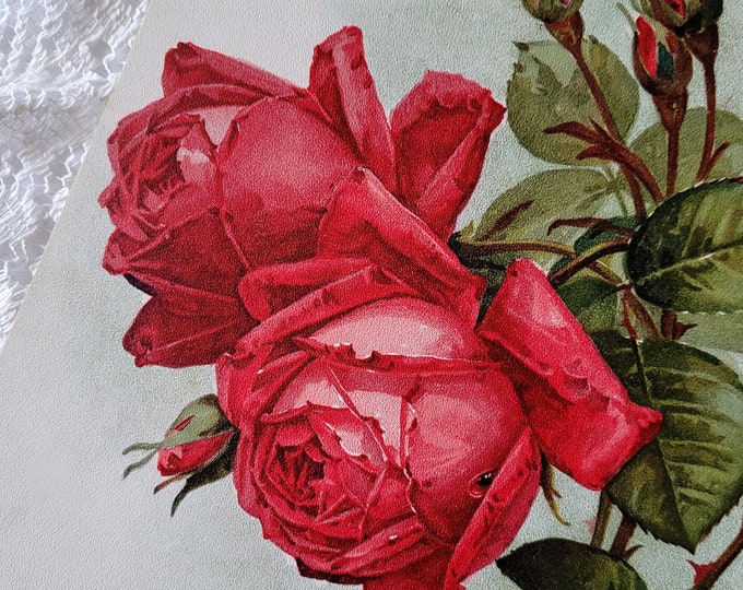 Antique Roses Print Paul De Longpre American Beauty Rose - Etsy