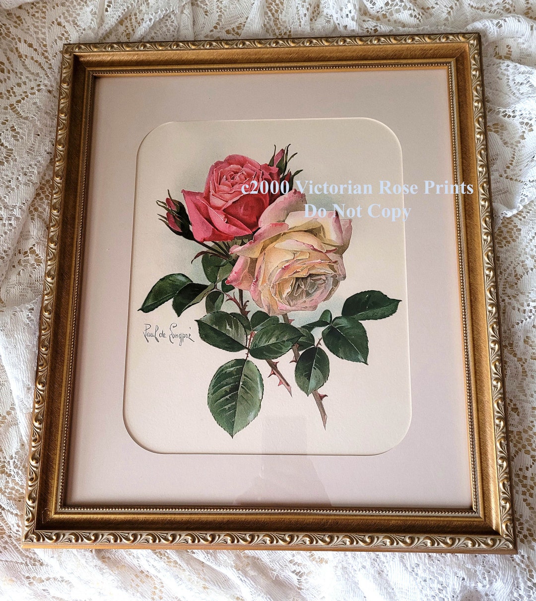 ANTIQUE Roses Print Paul De Longpre | Peace Pink Rose Gold Frame ...