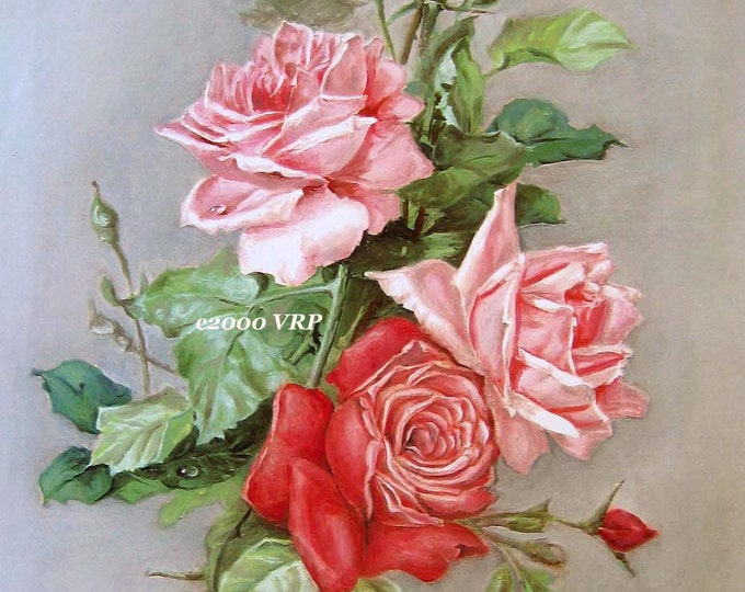 Huge Discount Print FREE SHIP Pink Cabbage Roses Catherine - Etsy