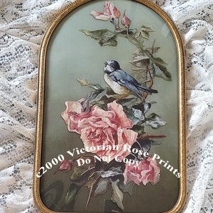 Vintage Bluebird Roses Print Antique Convex Glass Frame - Etsy