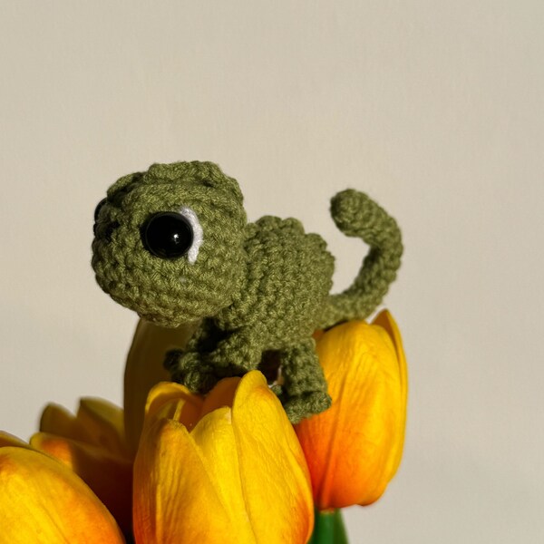 Crochet Pascal - Etsy