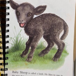 Journal Book: Baby Farm Animals - Etsy