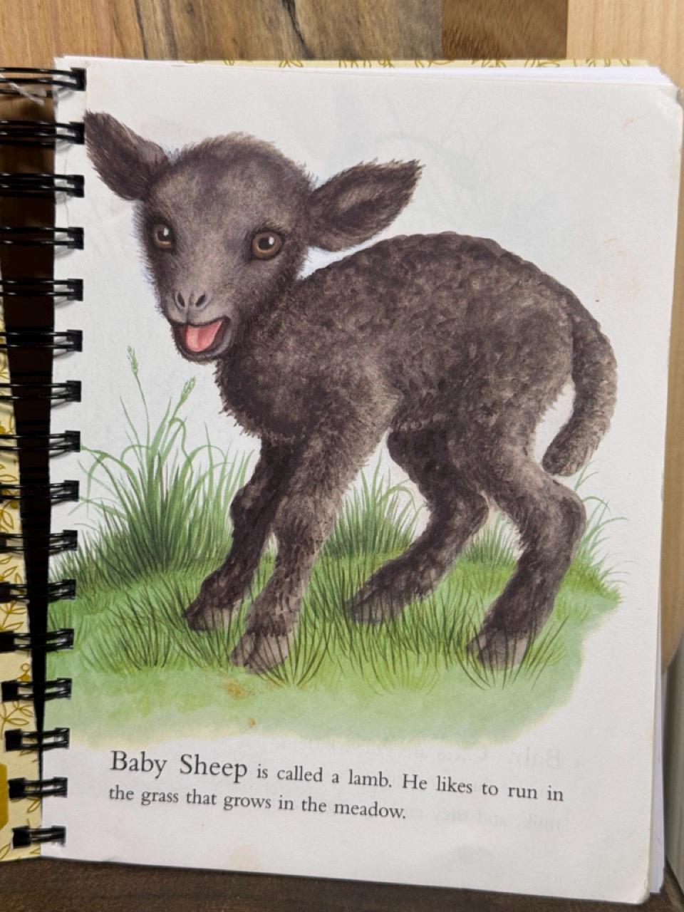 Journal Book: Baby Farm Animals - Etsy