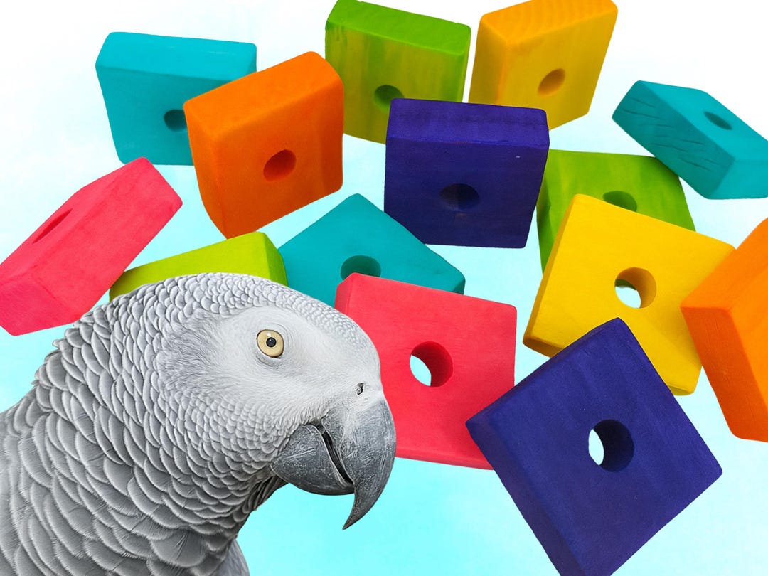 Chunky Wood Blocks for Bird Toys & Pole Refills - Set of 30 - Etsy