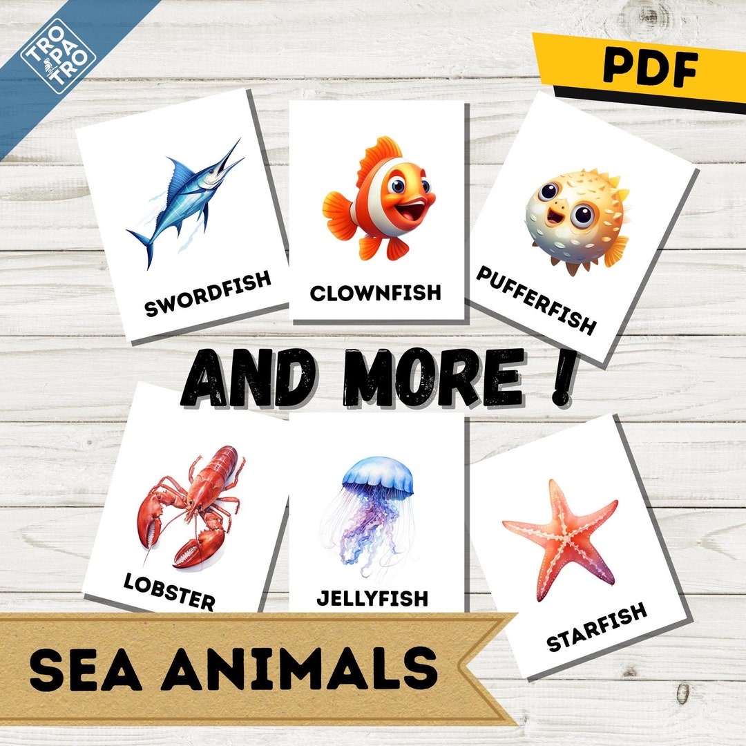 Sea Animals Flash Cards 16 Nomenclature PDF Flash Cards Printable Cards ...