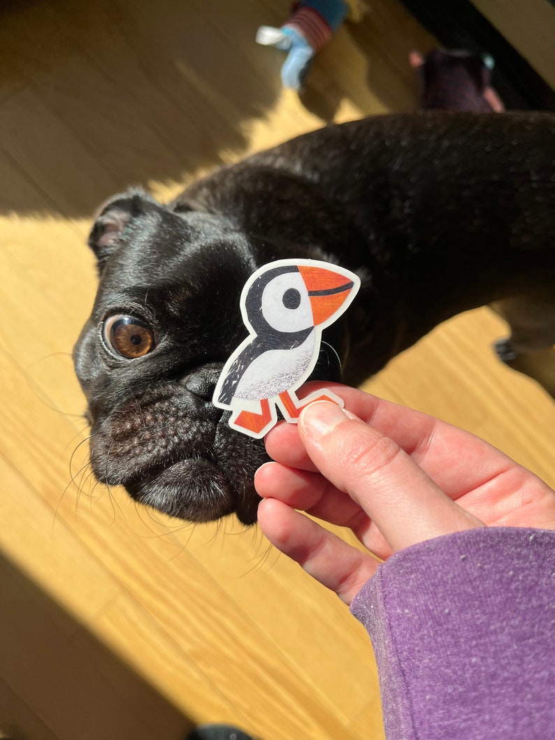 Puffin Vinyl Sticker Decal for Laptop, Phone, Water Bottle Animal, Bird ...