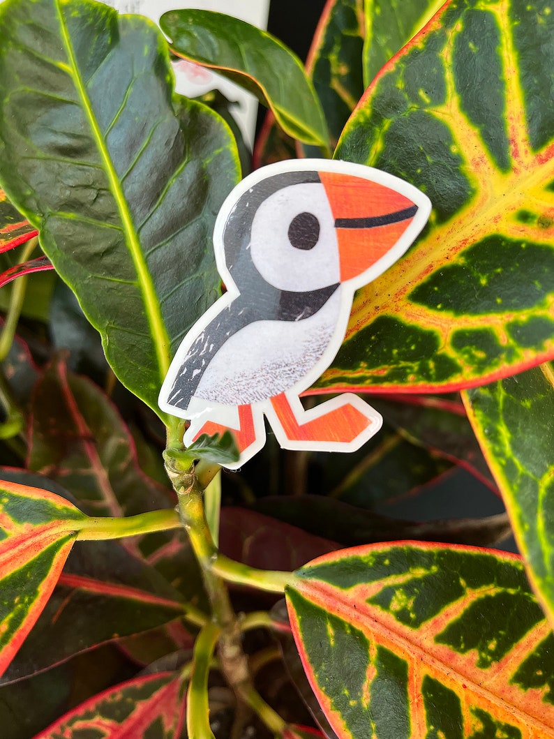 Puffin Vinyl Sticker Decal for Laptop, Phone, Water Bottle Animal, Bird ...