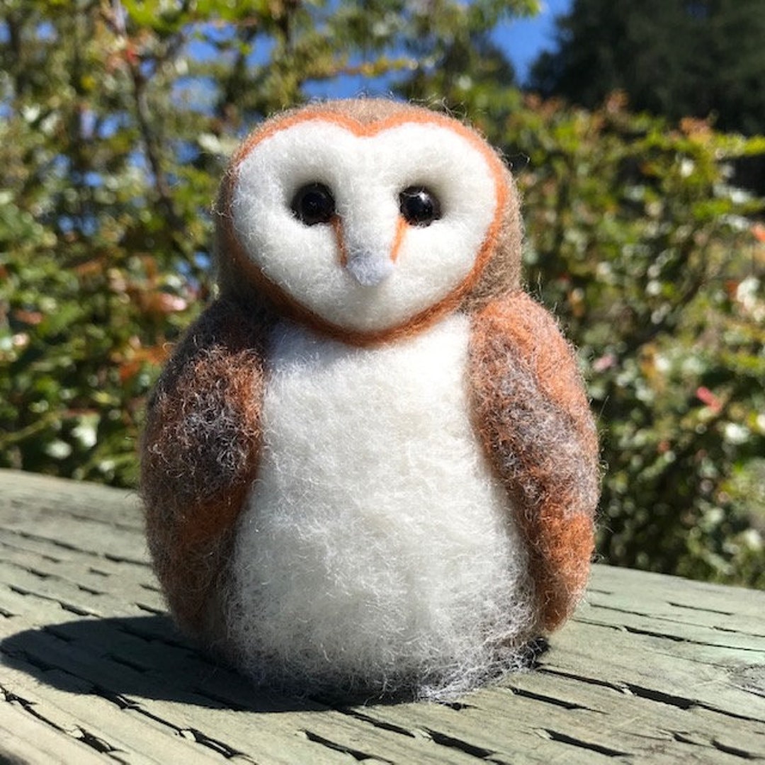Barn Owl Needle Felting Kit - Etsy
