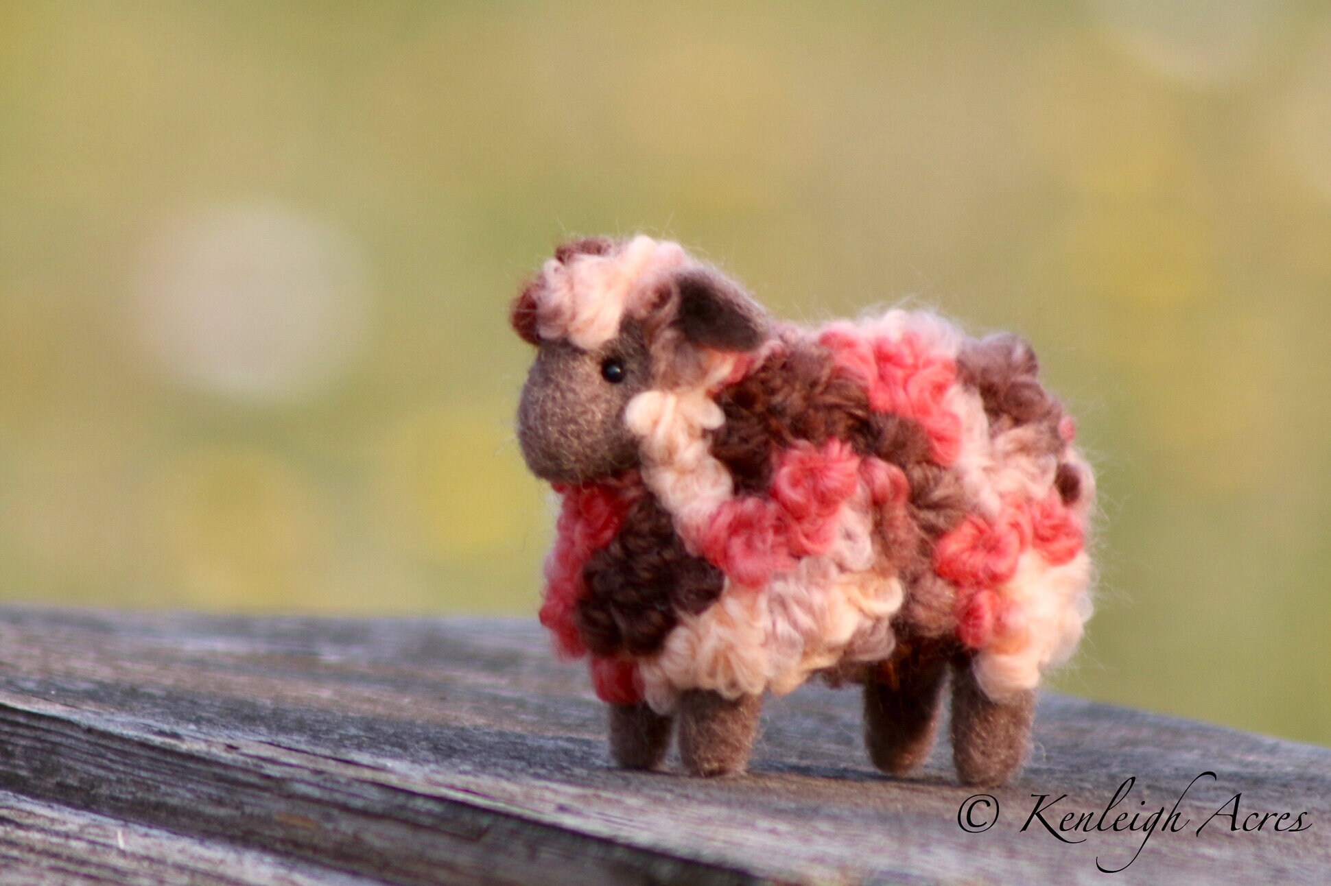Colorful Curly Sheep Needle Felting Kit Sale | Etsy