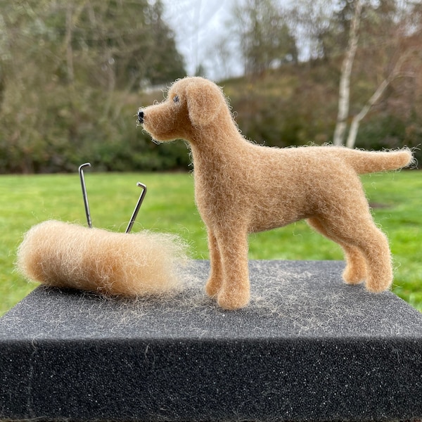 Needle Felting Kit - Etsy