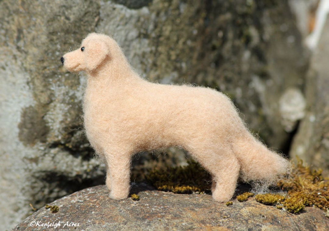 Dog Needle Felting Kit - Golden Retriever - Etsy