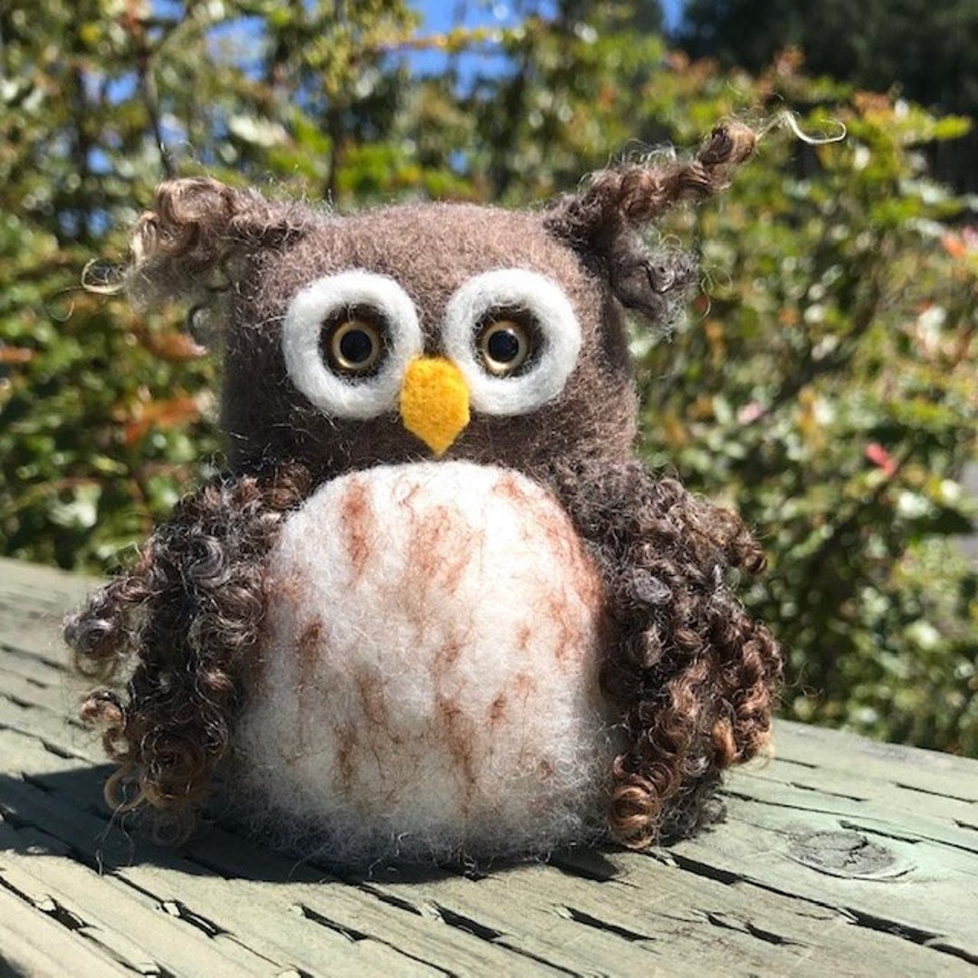 Curly Owl Needle Felting Kit - Etsy