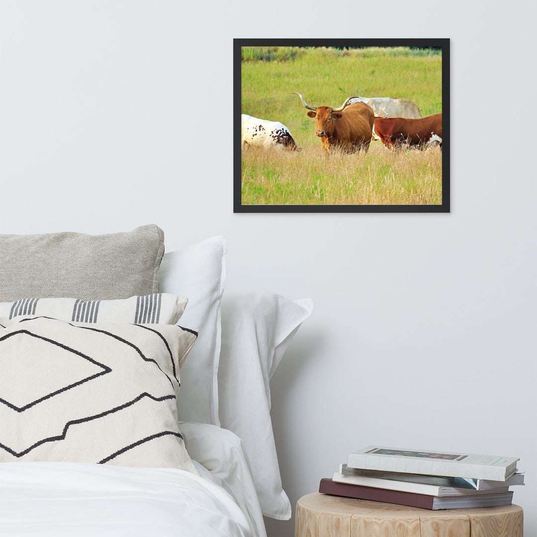 Texas Longhorn, Wild Cattle, Wichita Mountains National Wildlife Refuge ...
