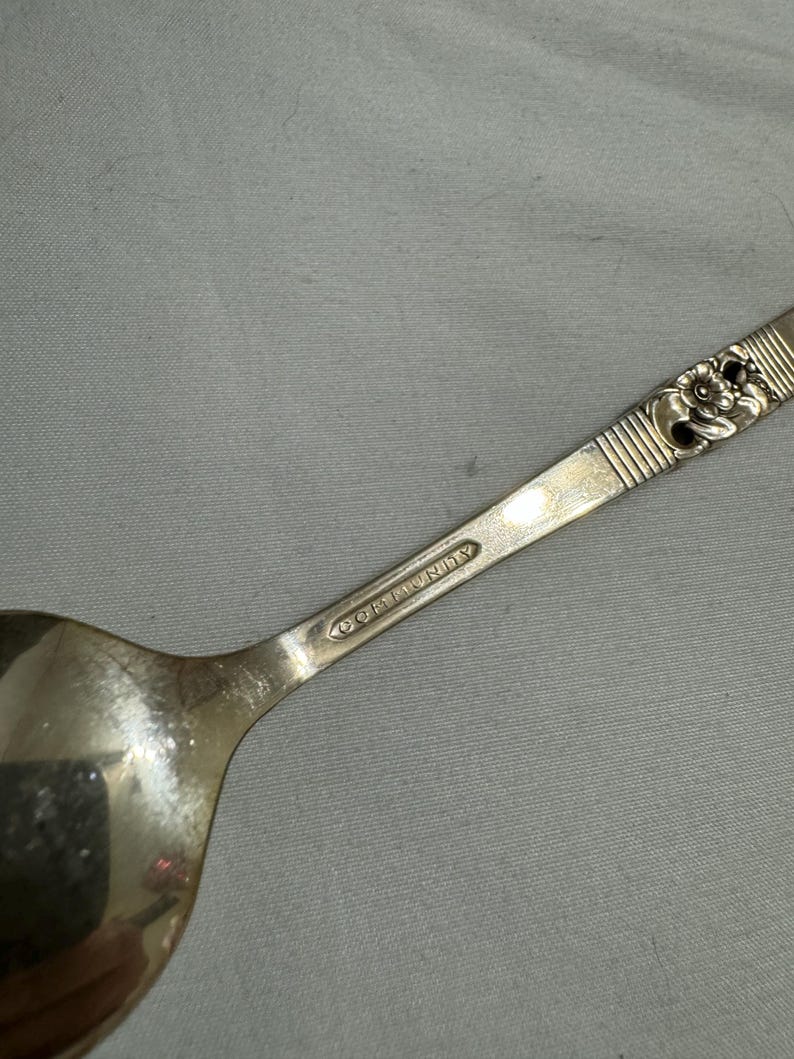 1950s Vintage Community Silverplate Silverware in Original Wood Case - Etsy