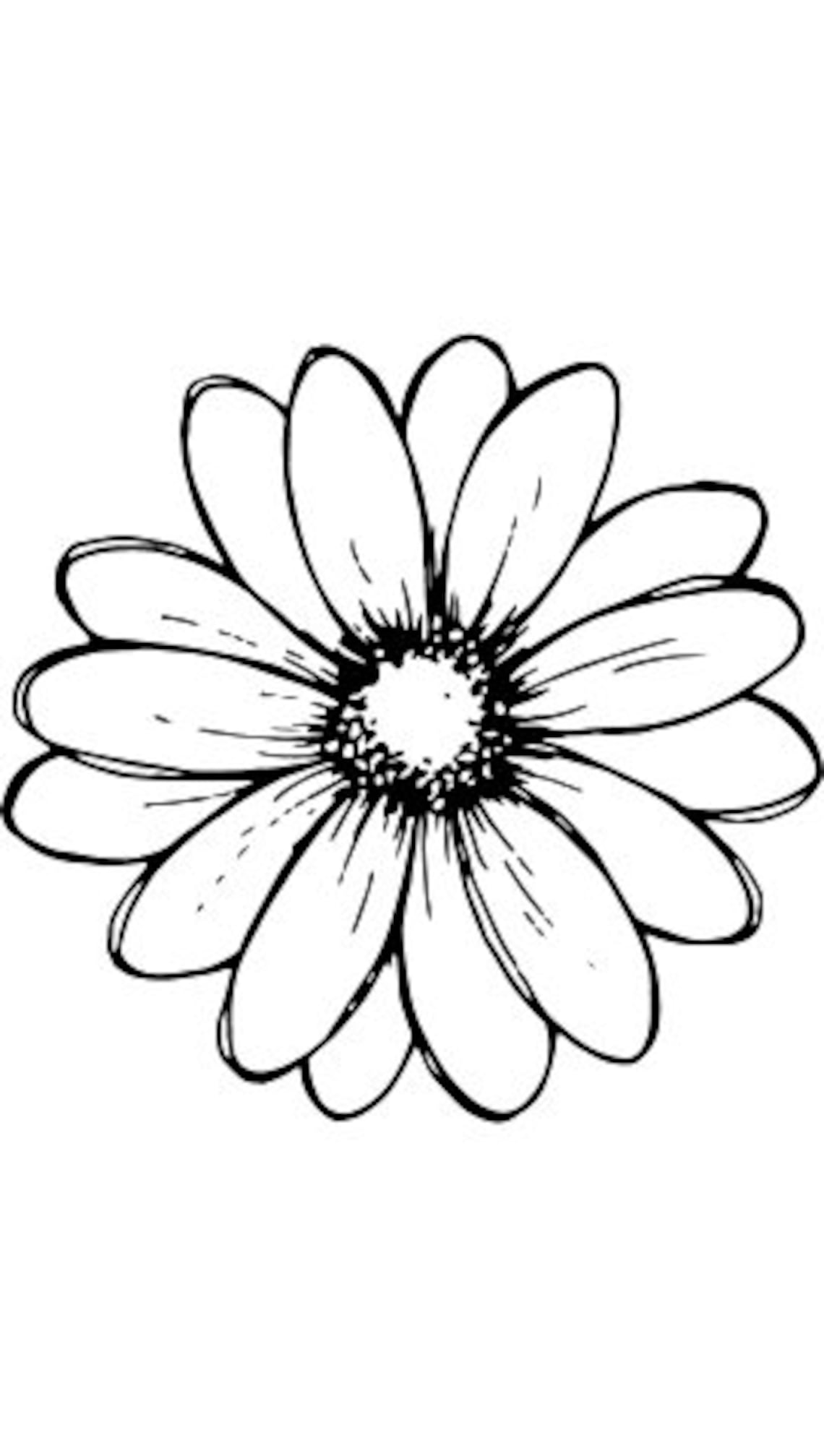 Drawing Book, Graphics, Paint Book, Flower Sketches. Sketch Book - Etsy