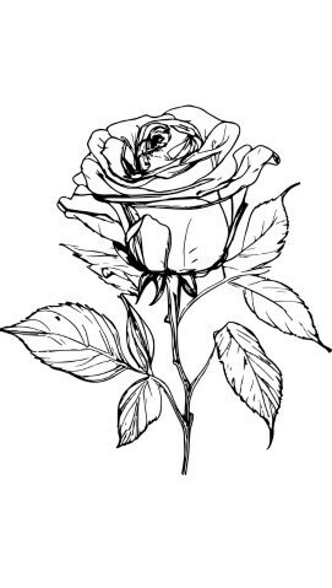 Drawing Book, Graphics, Paint Book, Flower Sketches. Sketch Book - Etsy