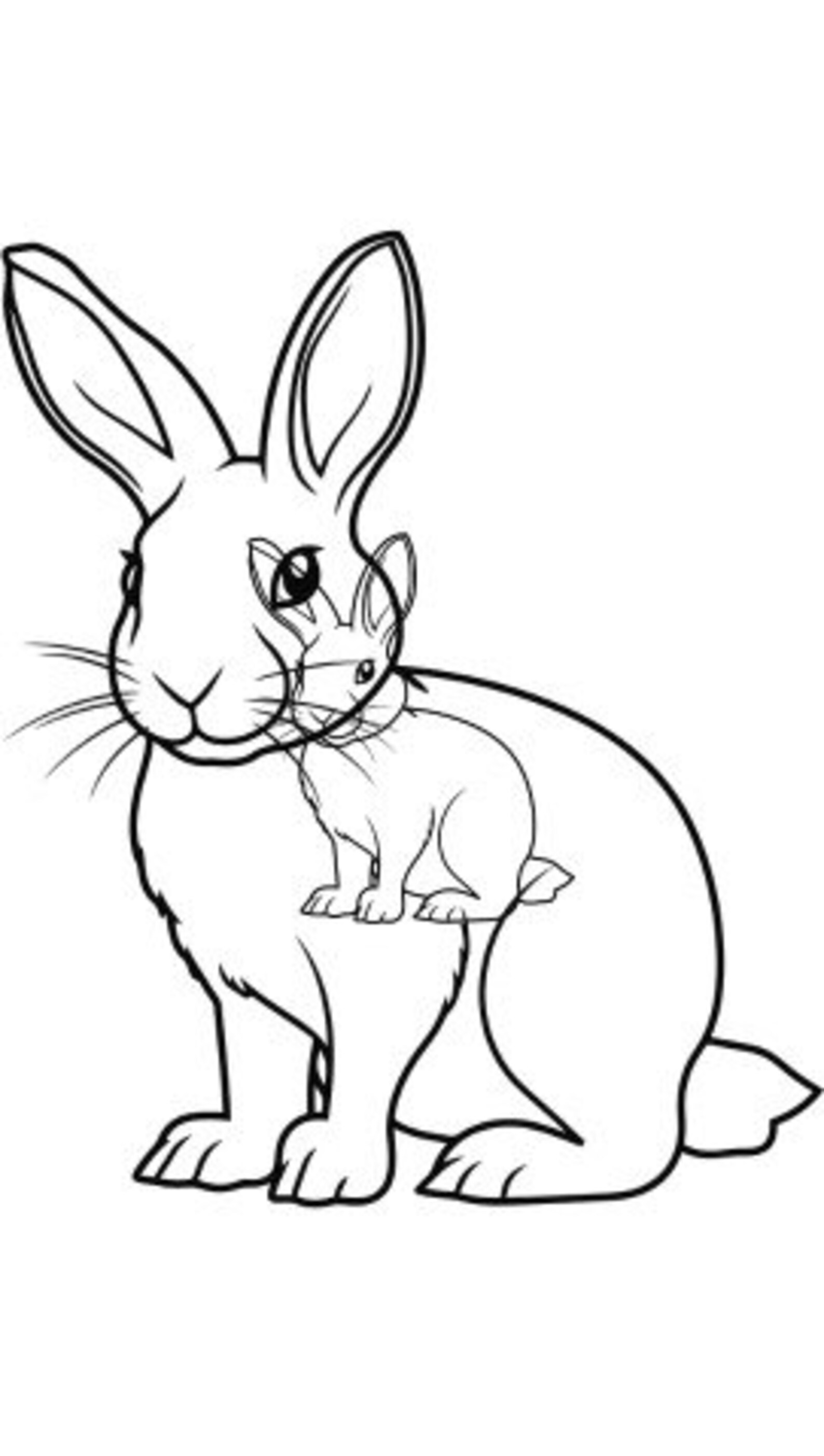 10 Cute Animal Coloring Book Pages- Zoo, Forest Animals and Birds, Easy ...
