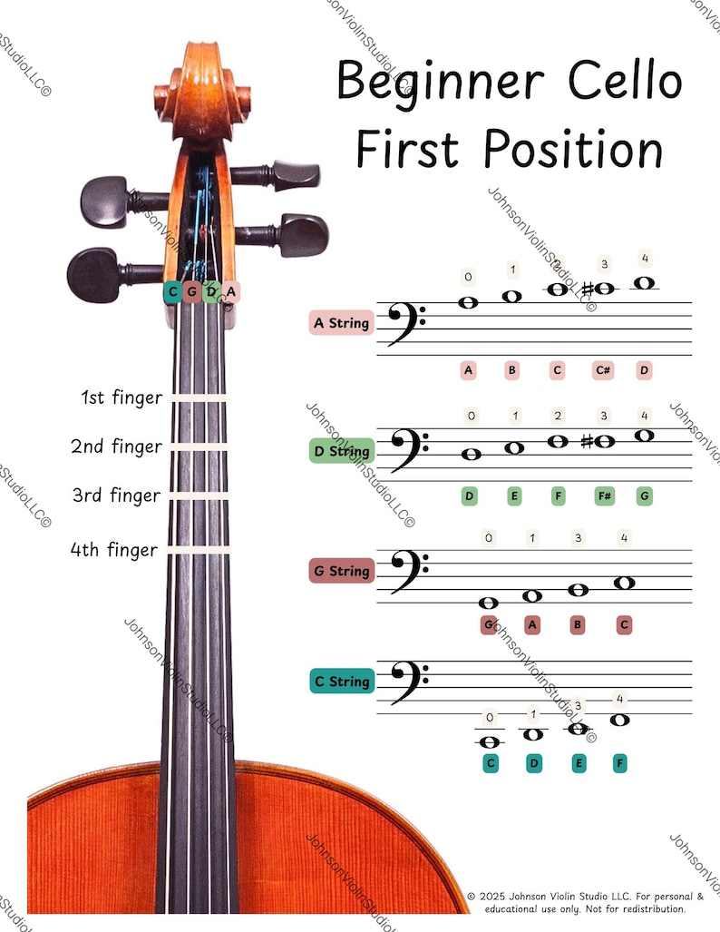 Beginner Cello First Position Fingering Chart (digital Printable) - Etsy