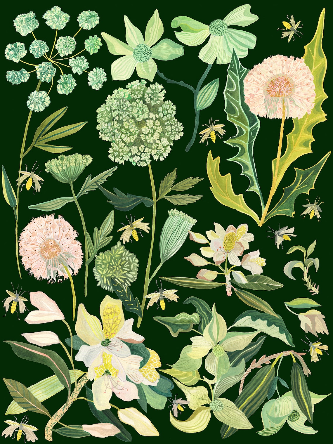 JUNE dark Background Larger Archival Print - Etsy