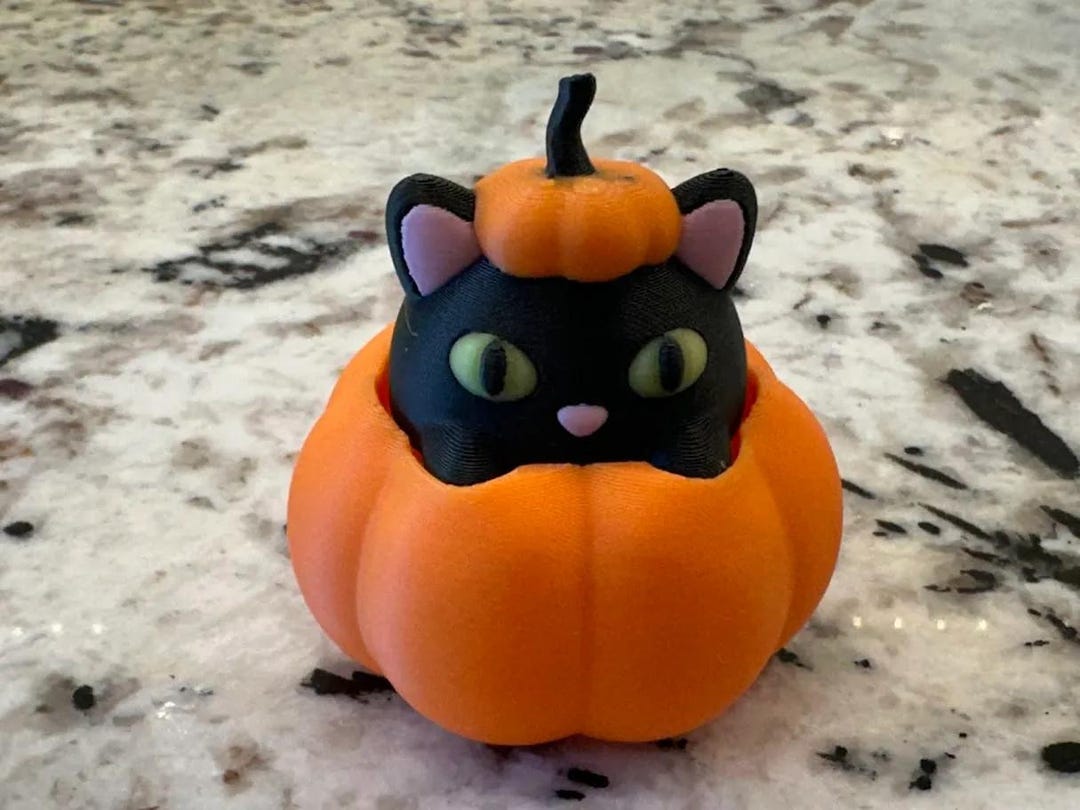 Black Cat in a Pumpkin Fidget Clicker Toy 3D Printed - Etsy