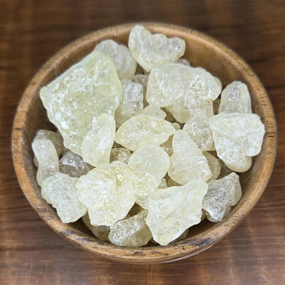 Gum Dammar - Agathis Dammara (2oz) - Indonesia - Etsy