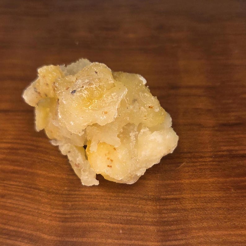 Gum Elemi - Canarium Luzonicum - Philippines - Etsy