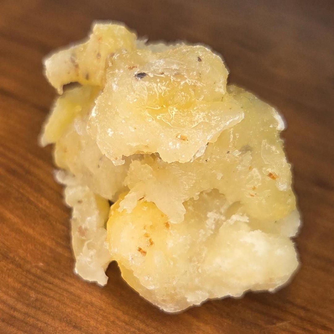 Gum Elemi - Canarium Luzonicum - Philippines - Etsy