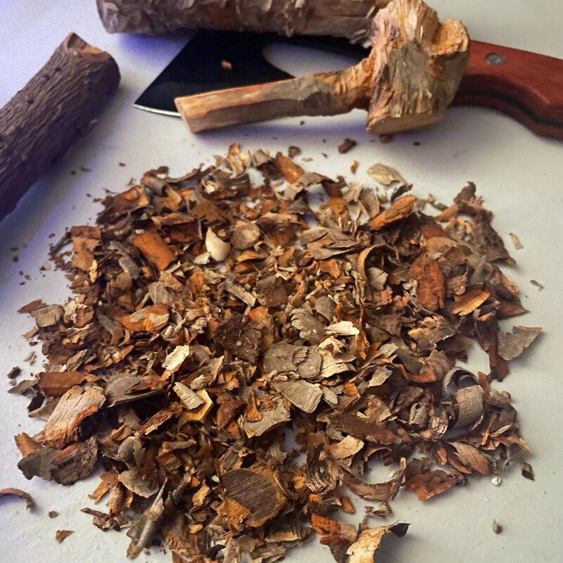 Sassafras Root - Etsy