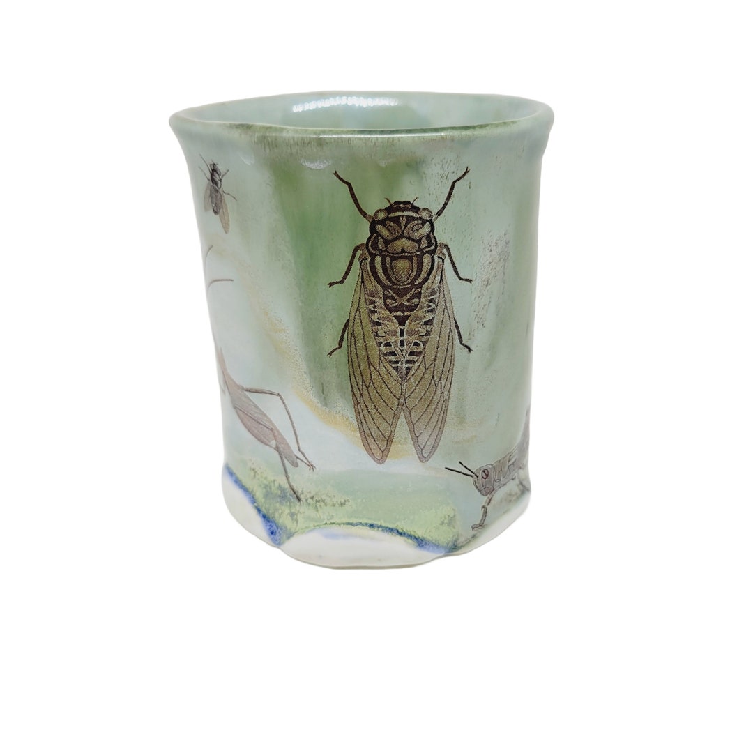 Insects Small Planter Porcelain Ceramic Pot for Succulents, Air Plants ...