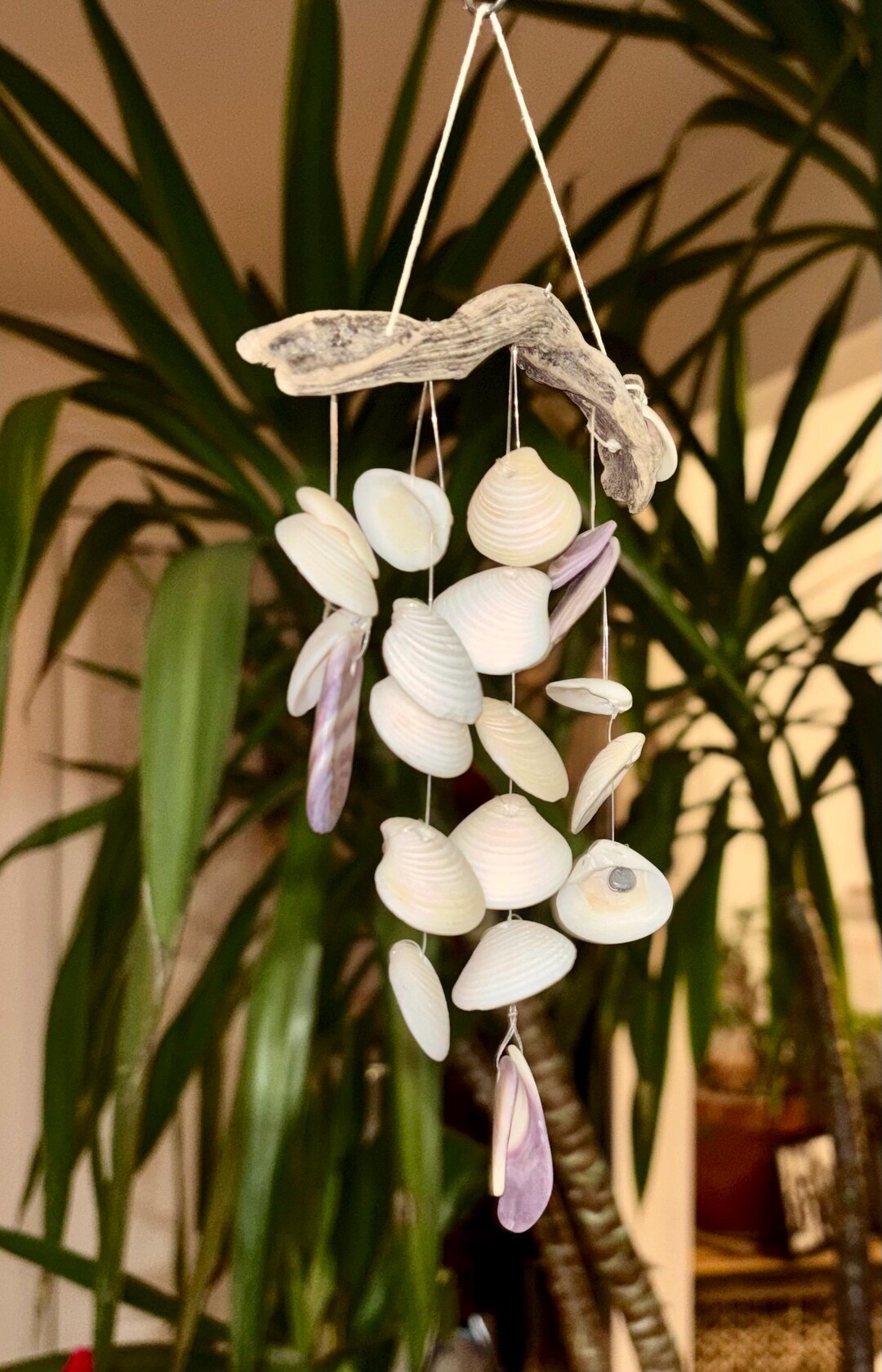 Sea Shell Wind Chime - Etsy