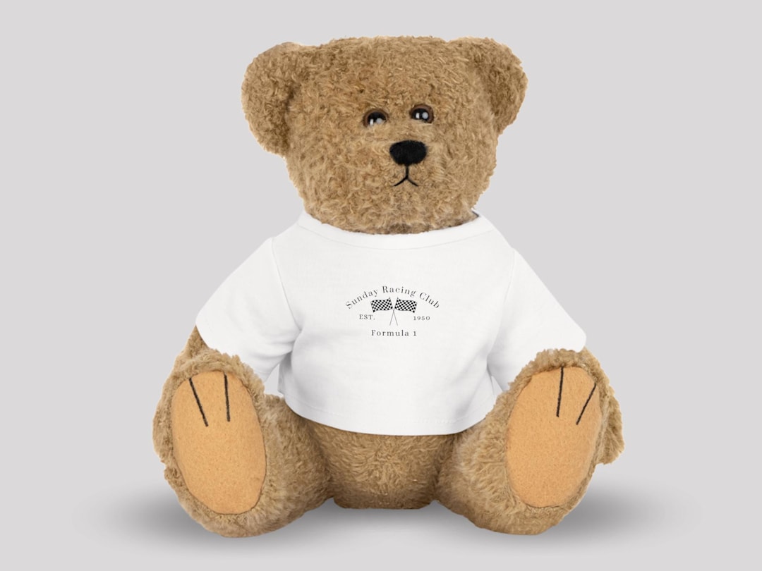Teddy Bear Plush Toy With Formula 1 T-shirt, Gift for Him/her ...