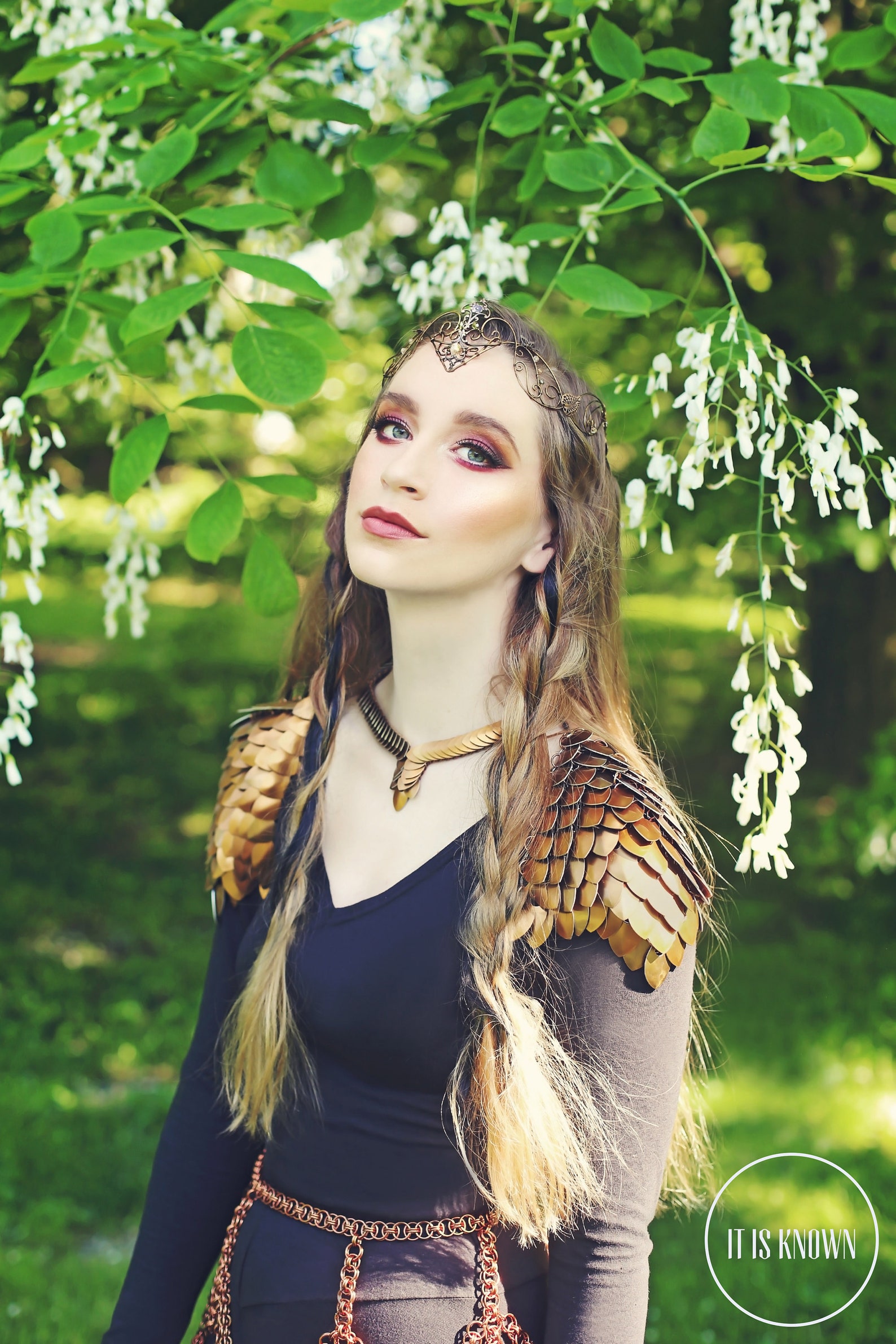 Pendragon-bronze Steampunk Scale Mail Scale Maille Pauldrons Spaulders ...