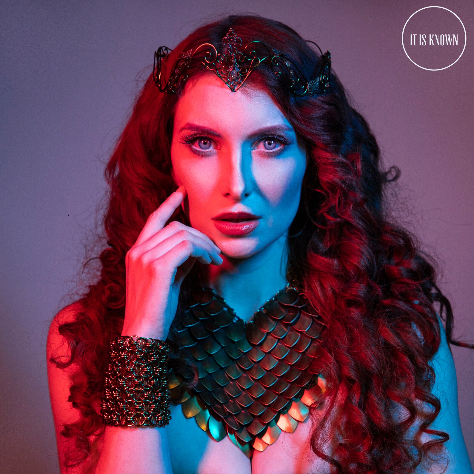 Artemis Collar-dragon Scale Chain Maille Posture Collar Choker Bib ...