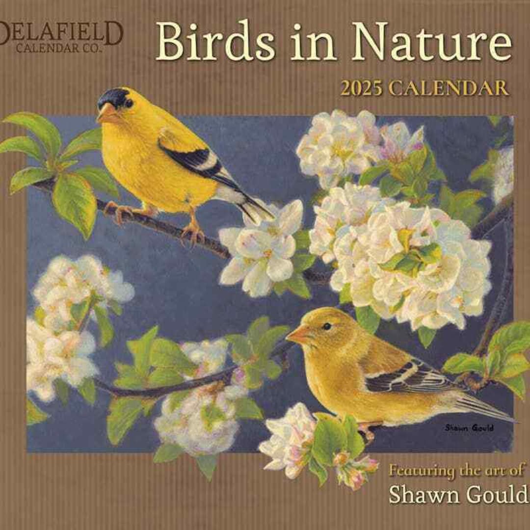 Robert Lang Birds in Nature 2025 Wall Calendar - Etsy