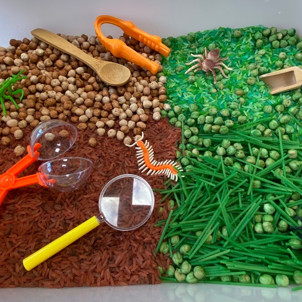 Insect Tuff Tray - Etsy UK