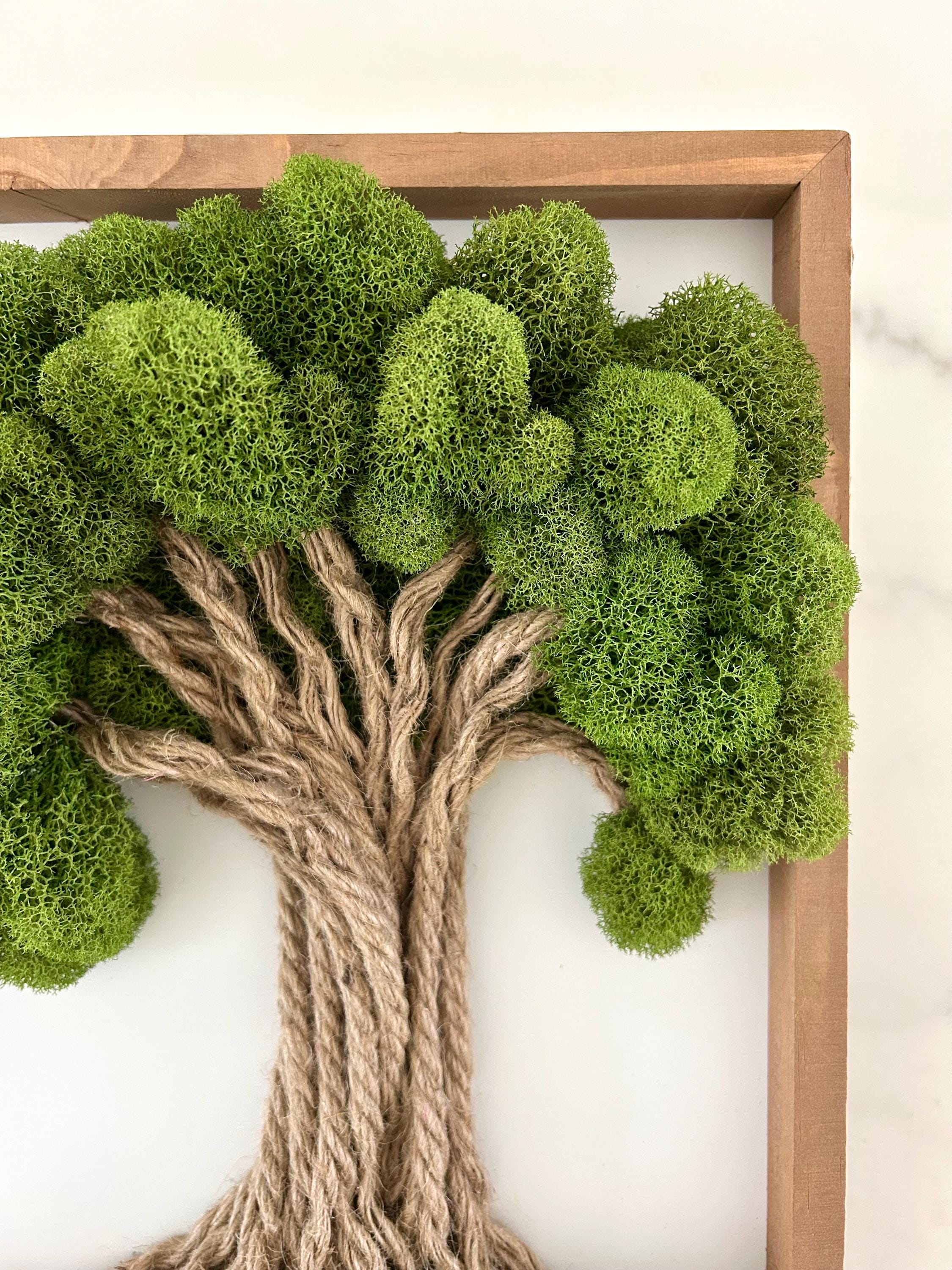Moss Tree Wall Decor: Handmade Preserved Moss & Rope Art (12x12) - Etsy