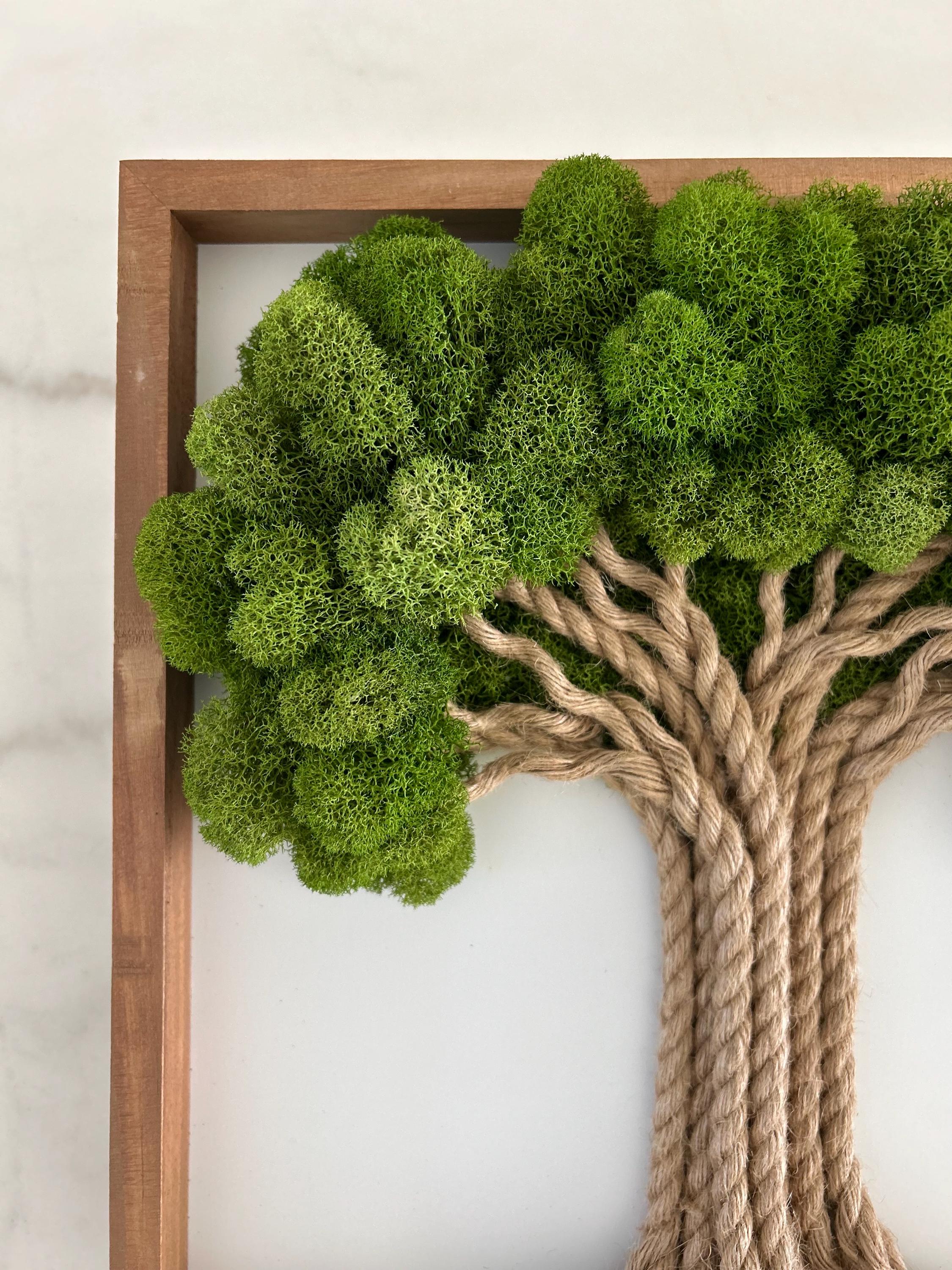 Moss Tree Wall Decor, Handmade Preserved: Biophilic Art (12x12) - Etsy