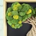 Moss Tree Wall Decor - Etsy