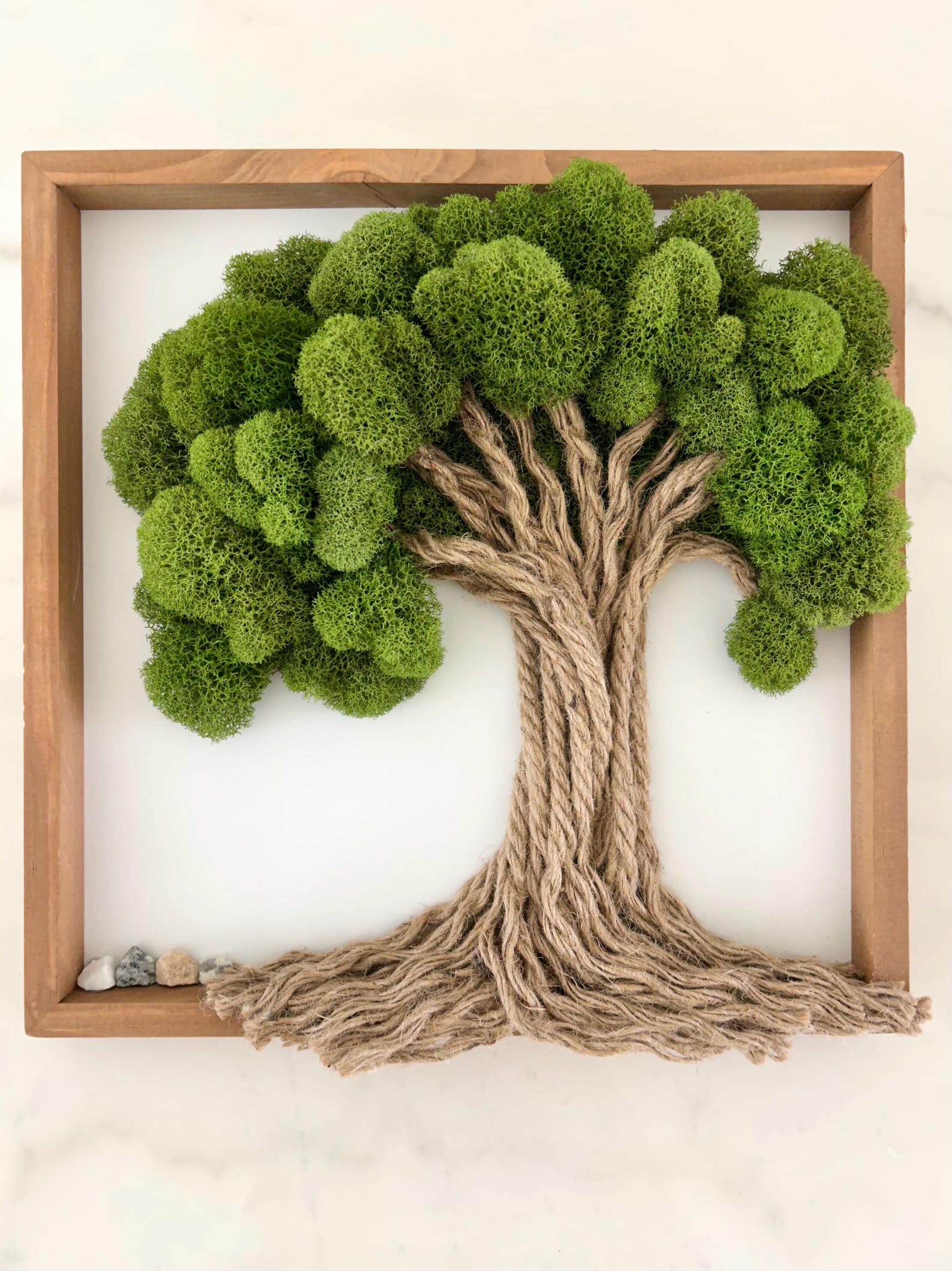 Moss Tree Wall Decor: Handmade Preserved Moss & Rope Art (12x12) - Etsy
