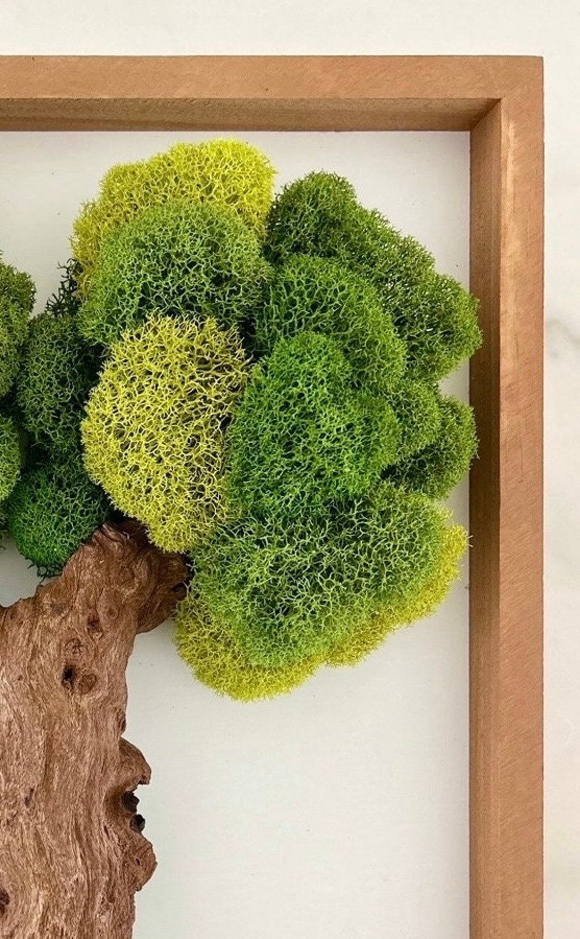 Moss Tree, Moss, Art, Wall Decor, Moss Decorations, Tree Decor, Moss ...