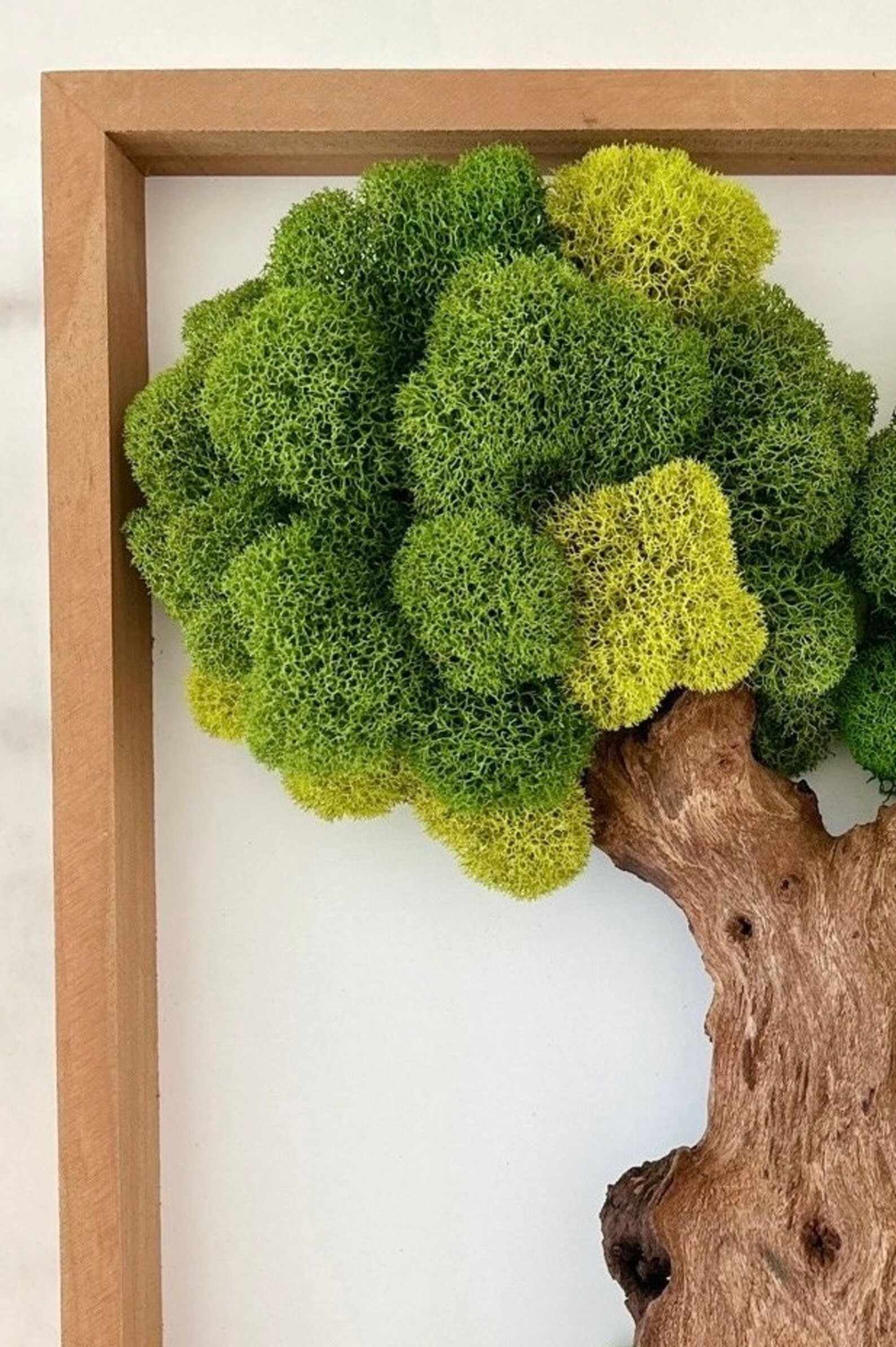 Moss Tree, Moss, Art, Wall Decor, Moss Decorations, Tree Decor, Moss ...