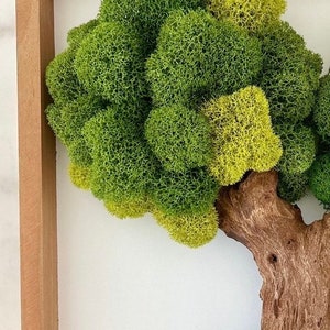 Moss Tree, Moss, Art, Wall Decor, Moss Decorations, Tree Decor, Moss ...