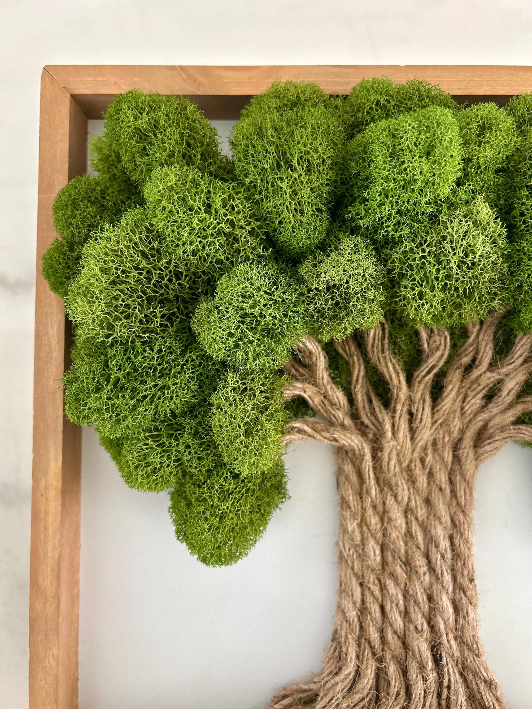 Moss Tree Wall Decor Handmade Preserved Biophilic Art (12x12) - Etsy