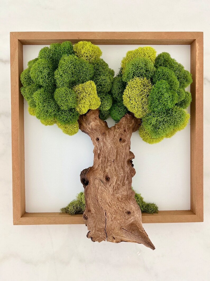 Moss Tree, Moss, Art, Wall Decor, Moss Decorations, Tree Decor, Moss Wall, Wall Decor, Nature ...