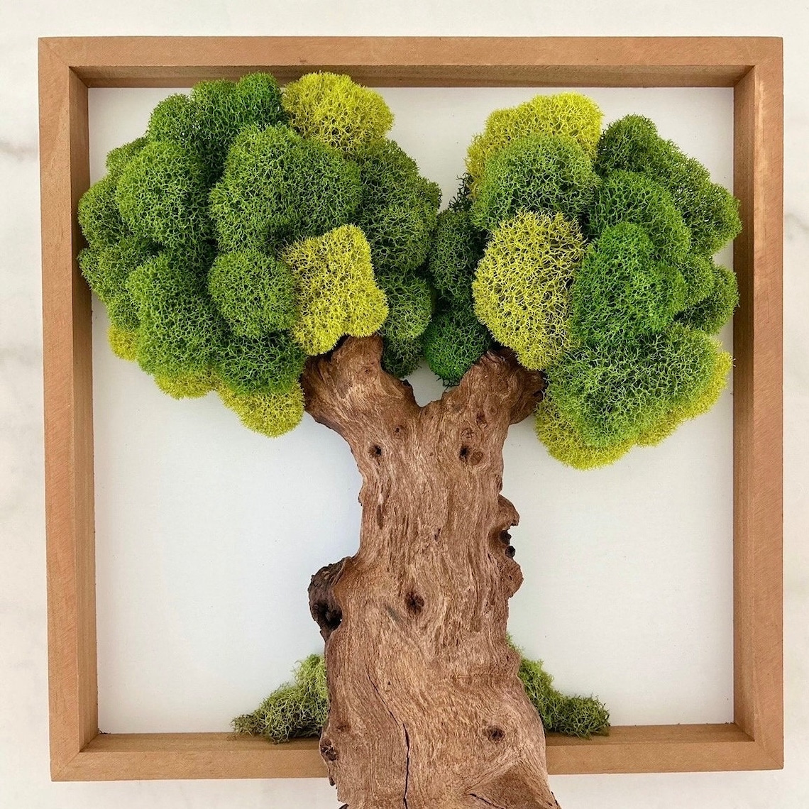 Moss Tree, Moss, Art, Wall Decor, Moss Decorations, Tree Decor, Moss ...
