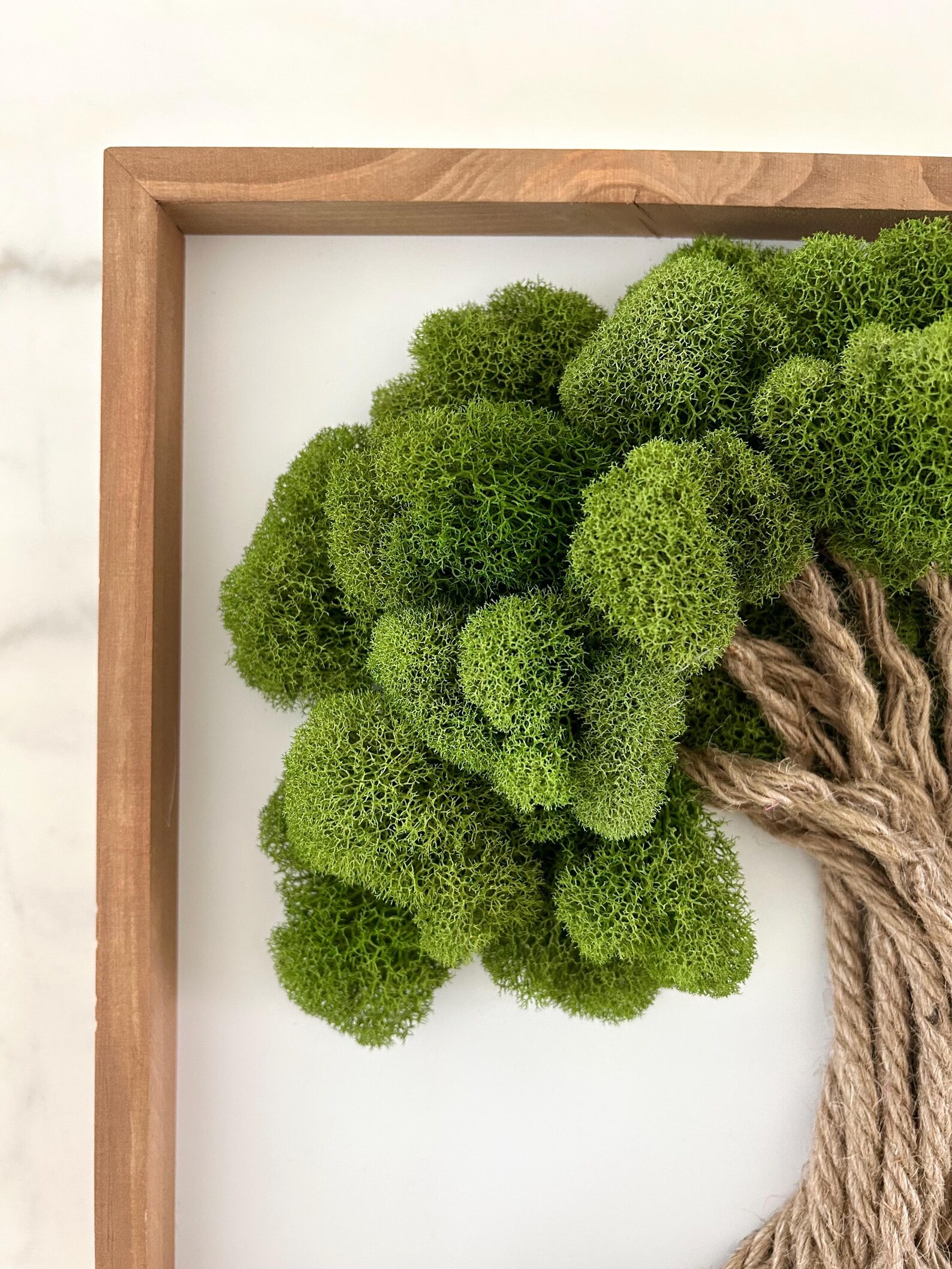 Moss Tree Wall Decor: Handmade Preserved Moss & Rope Art (12x12) - Etsy